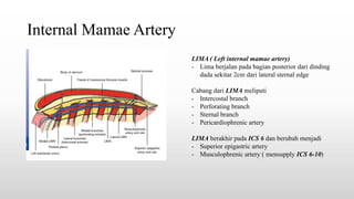 Anatomiof coronary artery and vein .pptx