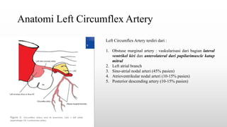 Anatomiof coronary artery and vein .pptx