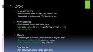 anatomi göz çalışma islem operasyonu.pdf
