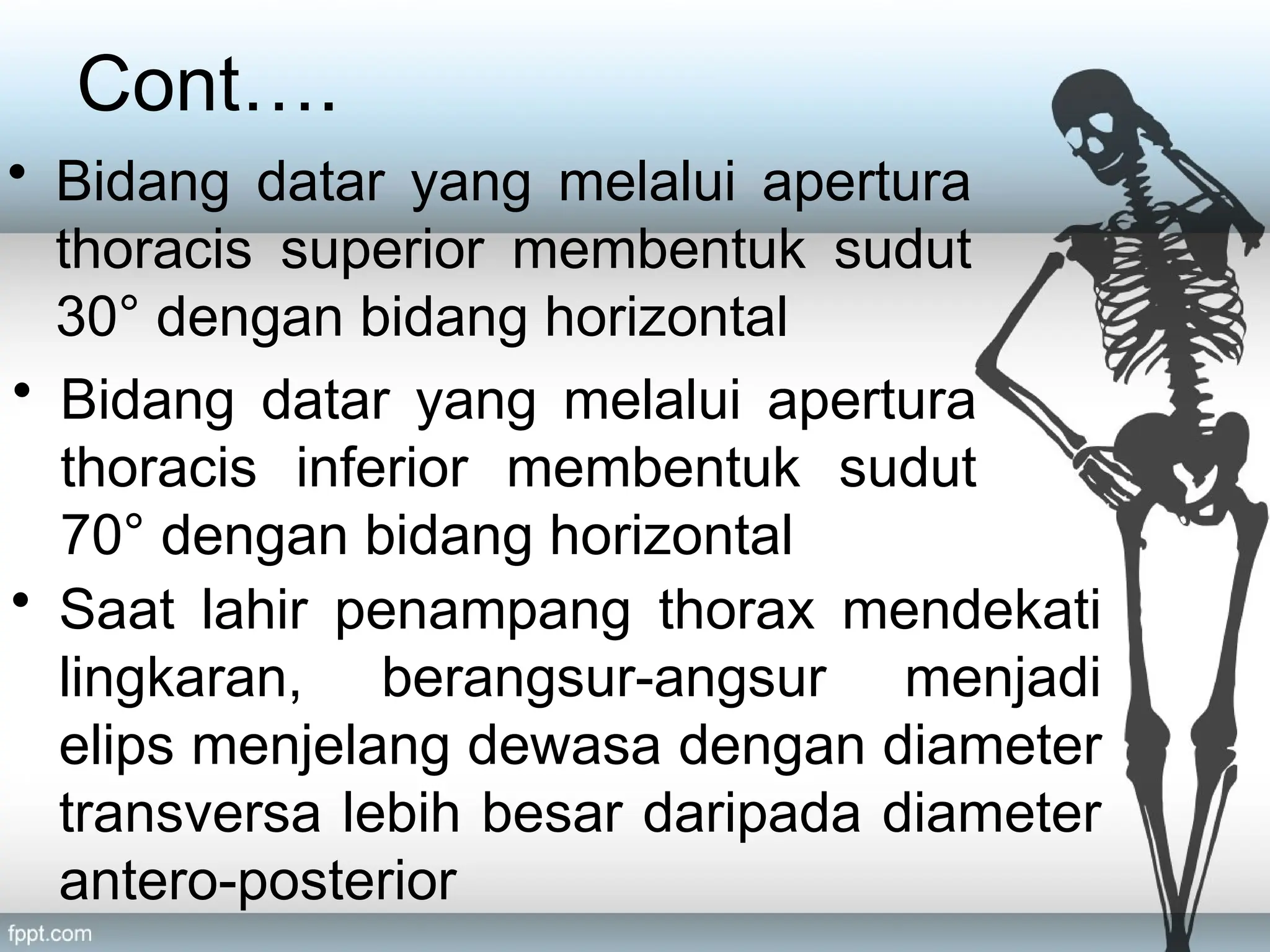 Anatomi-cavum thorax for student doctor and nurse - Ida.pptx