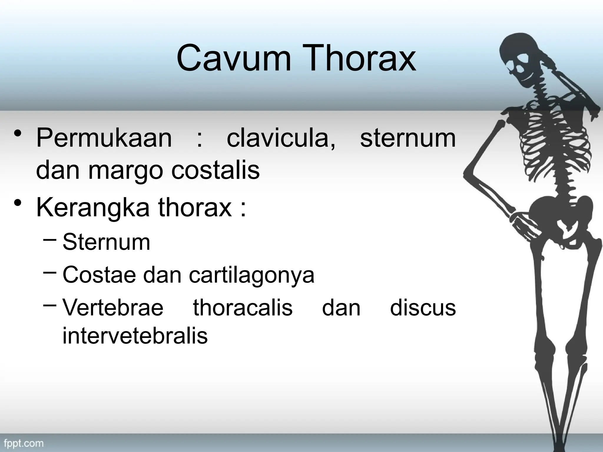 Anatomi-cavum thorax for student doctor and nurse - Ida.pptx