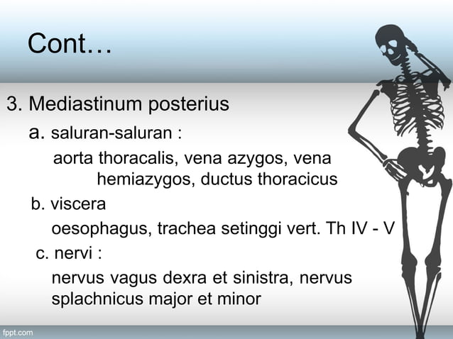Anatomi-cavum thorax for student doctor and nurse - Ida.pptx