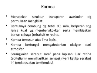 anatomi-dan-fisiologi-persepsi-sensori.pptx