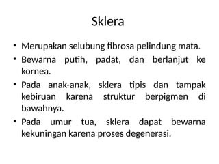 anatomi-dan-fisiologi-persepsi-sensori.pptx