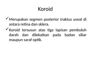 anatomi-dan-fisiologi-persepsi-sensori.pptx