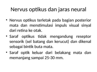 anatomi-dan-fisiologi-persepsi-sensori.pptx