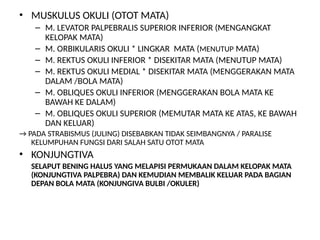 anatomi-dan-fisiologi-persepsi-sensori.pptx