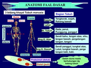 Anatomi-dan-Fisiologi-Pertemuan-1.ppt