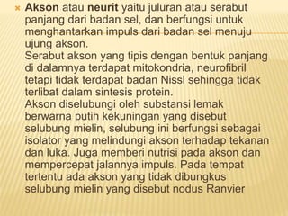 Anatomi-dan-Fisiologi-Pertemuan-2.ppt