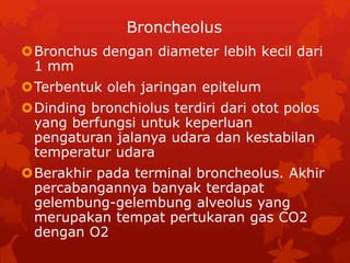 Anatomi-dan-Fisiologi-Pertemuan-4.ppt