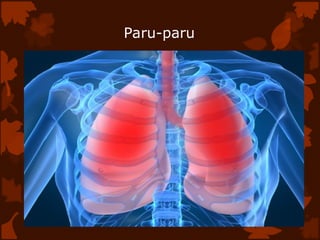 Anatomi-dan-Fisiologi-Pertemuan- biologi4.ppt