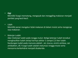 Anatomi-dan-Fisiologi- hewan Pertemuan-6.ppt