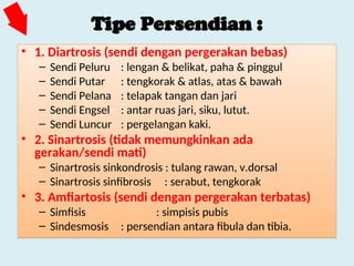 Anatomi-dan-Fisiologi-Pertemuan-7 (1).ppt