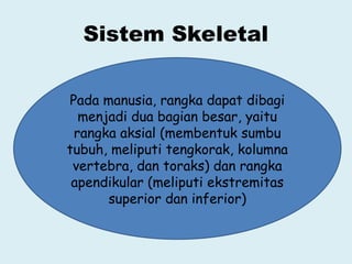 Anatomi-dan-Fisiologi-Pertemuan-7 (1).ppt