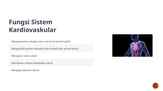Anatomi-dan-Fisiologi-Sistem-Kardiovaskular.pptx