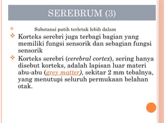 ANATOMI-DAN-FISIOLOGI-SISTEM-SARAF pada manusia | PPTX