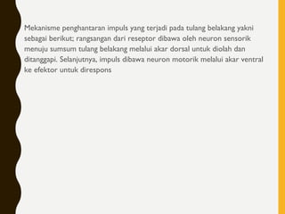 Anatomi dan Fisiologi Sistem Syaraf pada Manusia | PPT