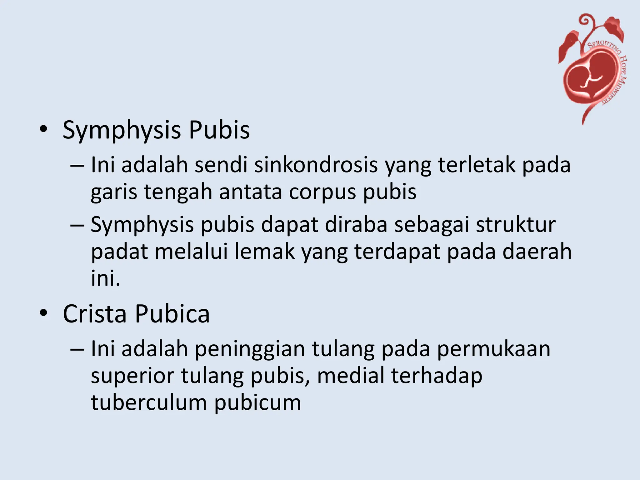 anatomi-dinding-pelvis_compress pada manusia.pdf