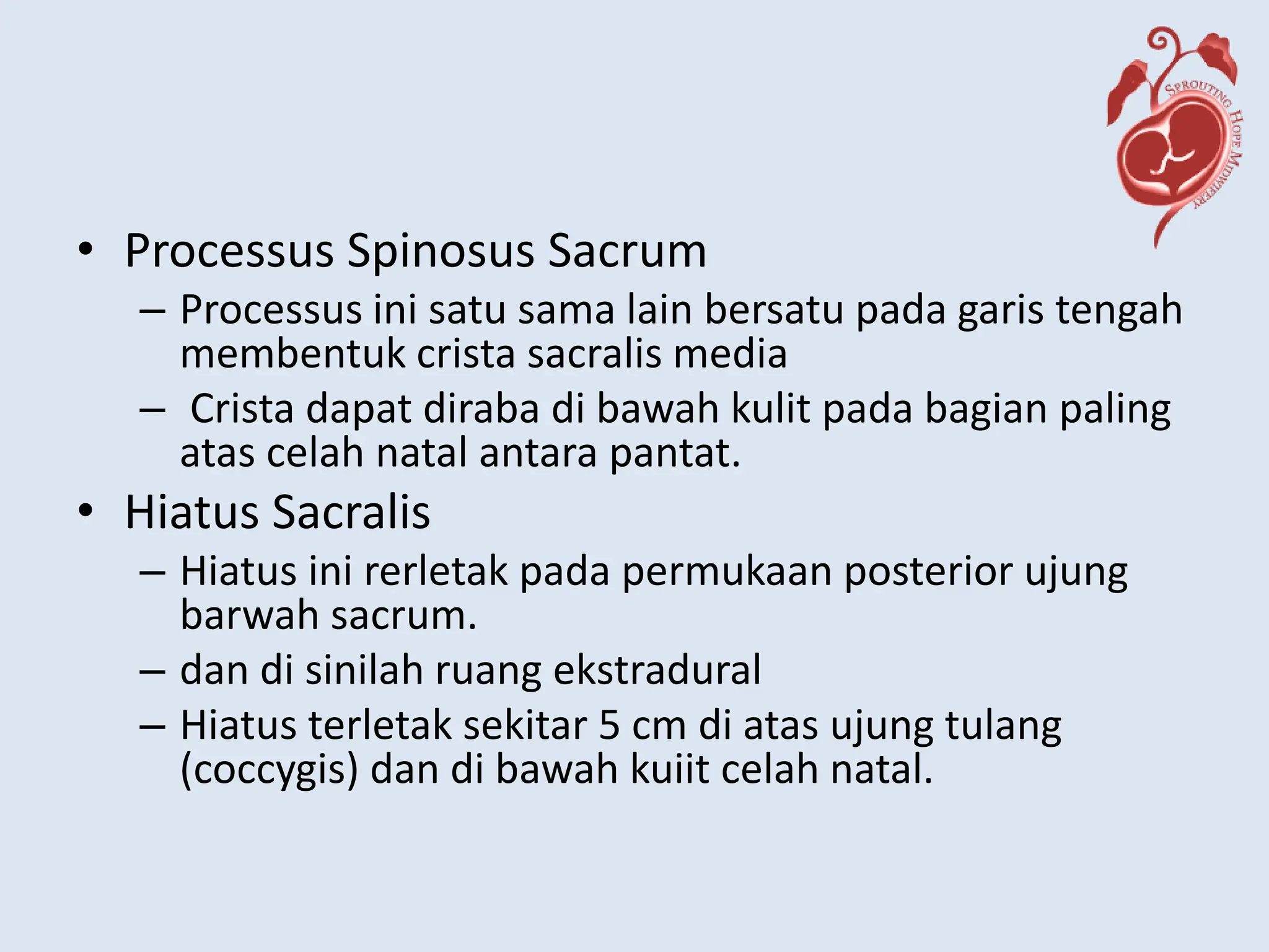 anatomi-dinding-pelvis_compress pada manusia.pdf