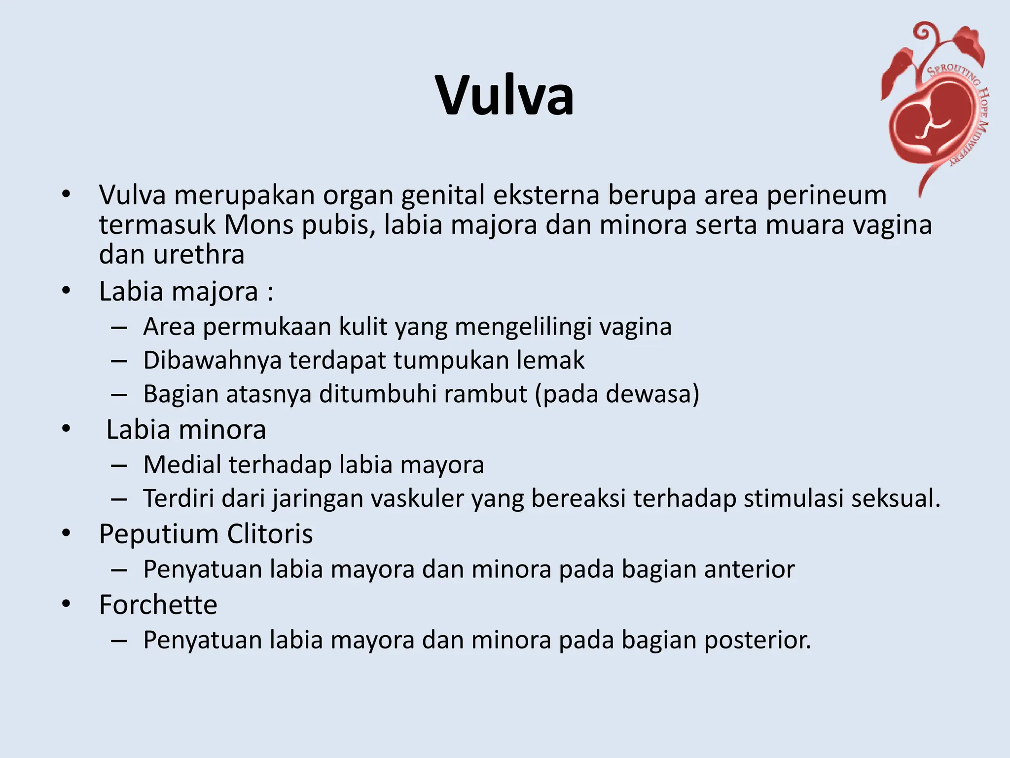 anatomi-dinding-pelvis_compress pada manusia.pdf