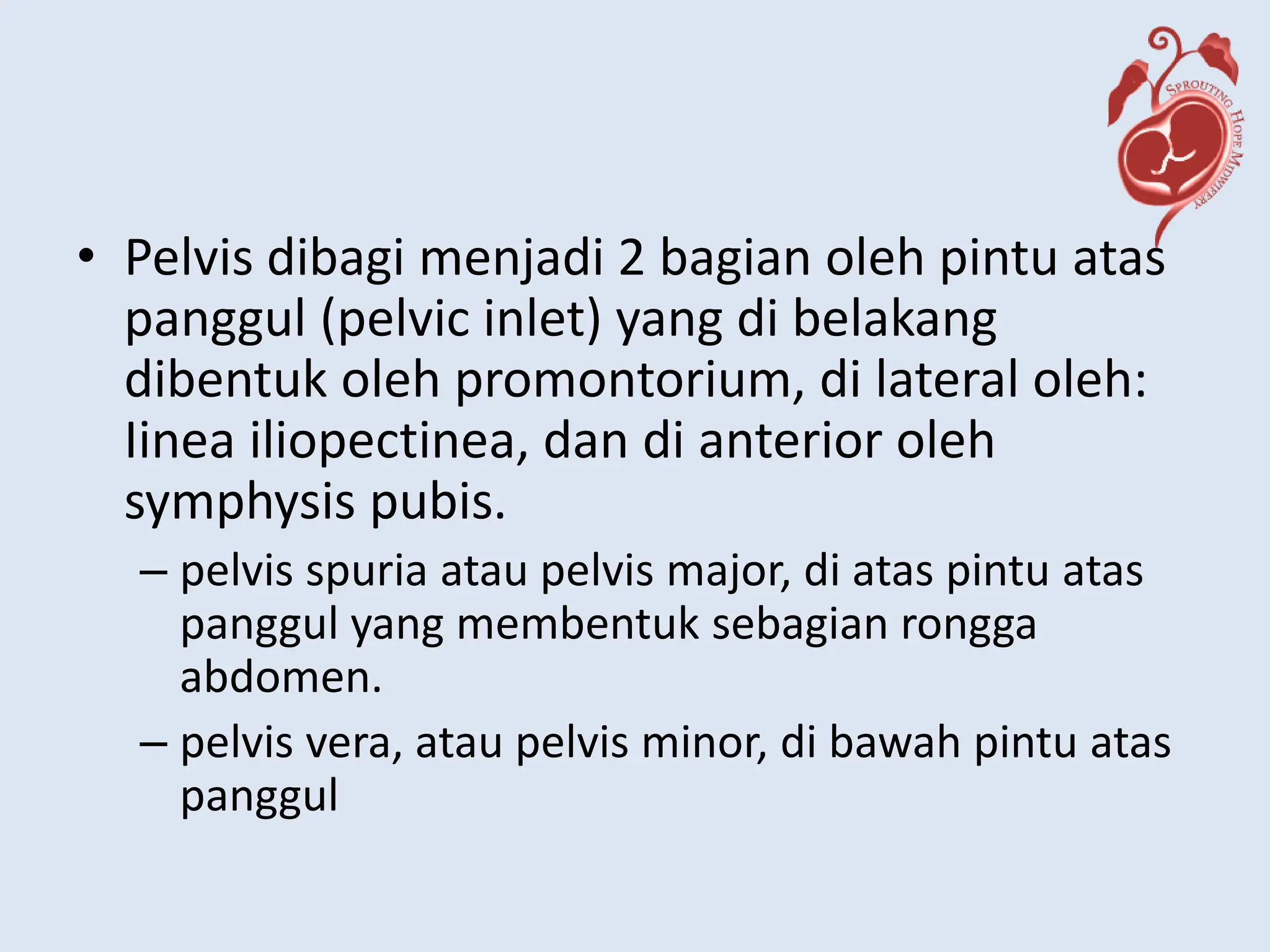 anatomi-dinding-pelvis_compress pada manusia.pdf