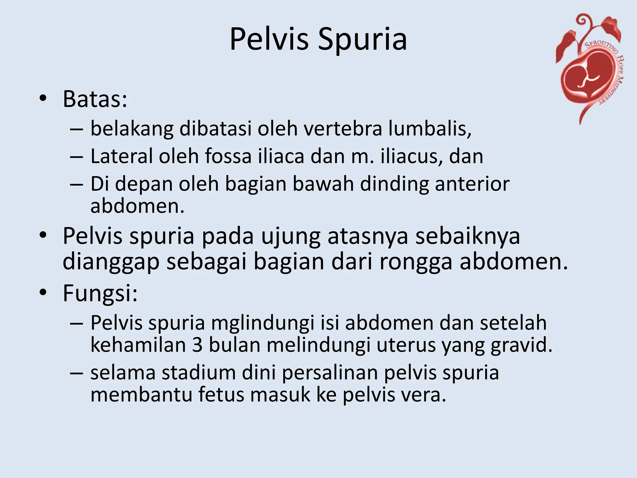 anatomi-dinding-pelvis_compress pada manusia.pdf