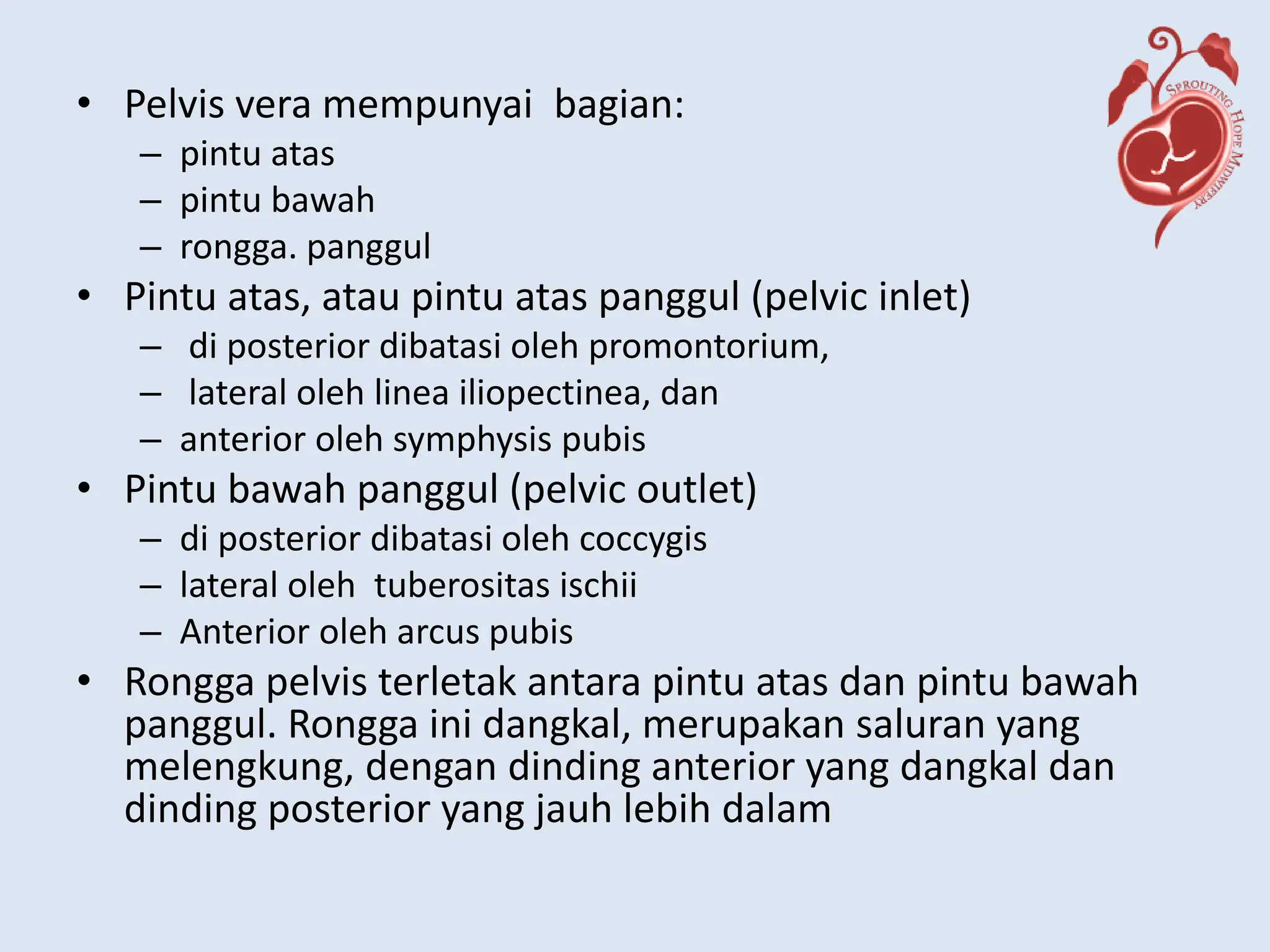anatomi-dinding-pelvis_compress pada manusia.pdf