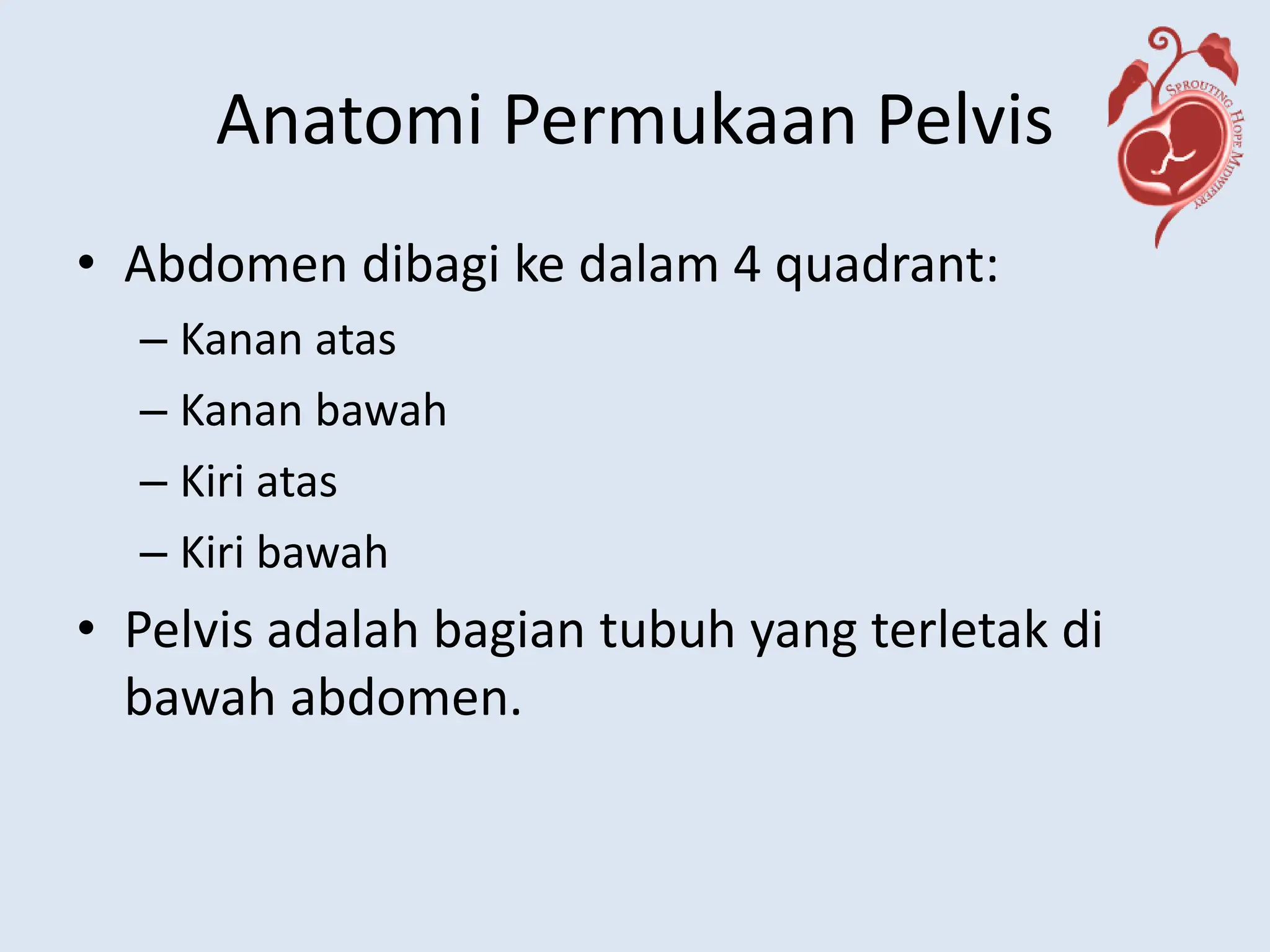 anatomi-dinding-pelvis_compress pada manusia.pdf