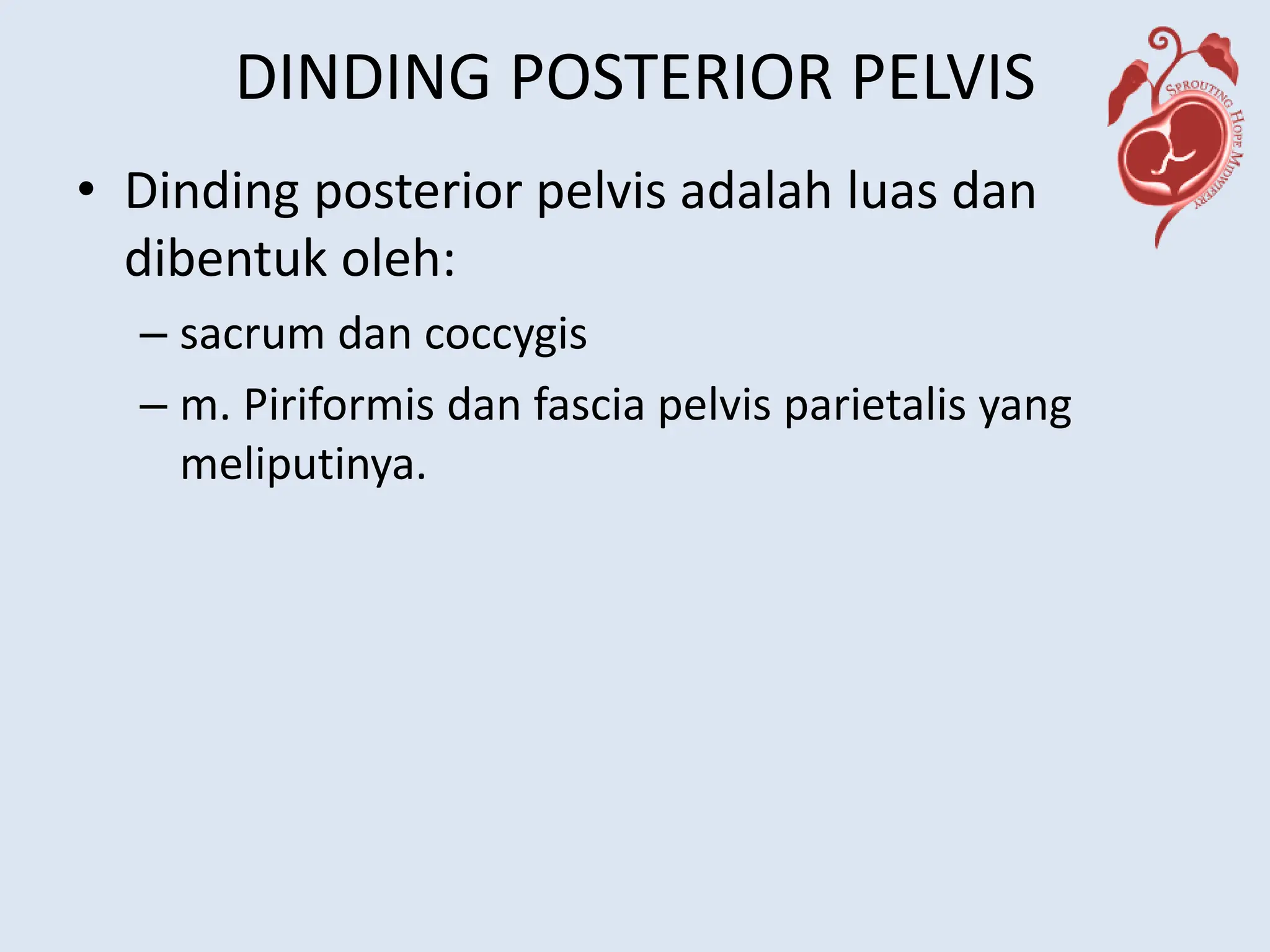 anatomi-dinding-pelvis_compress pada manusia.pdf