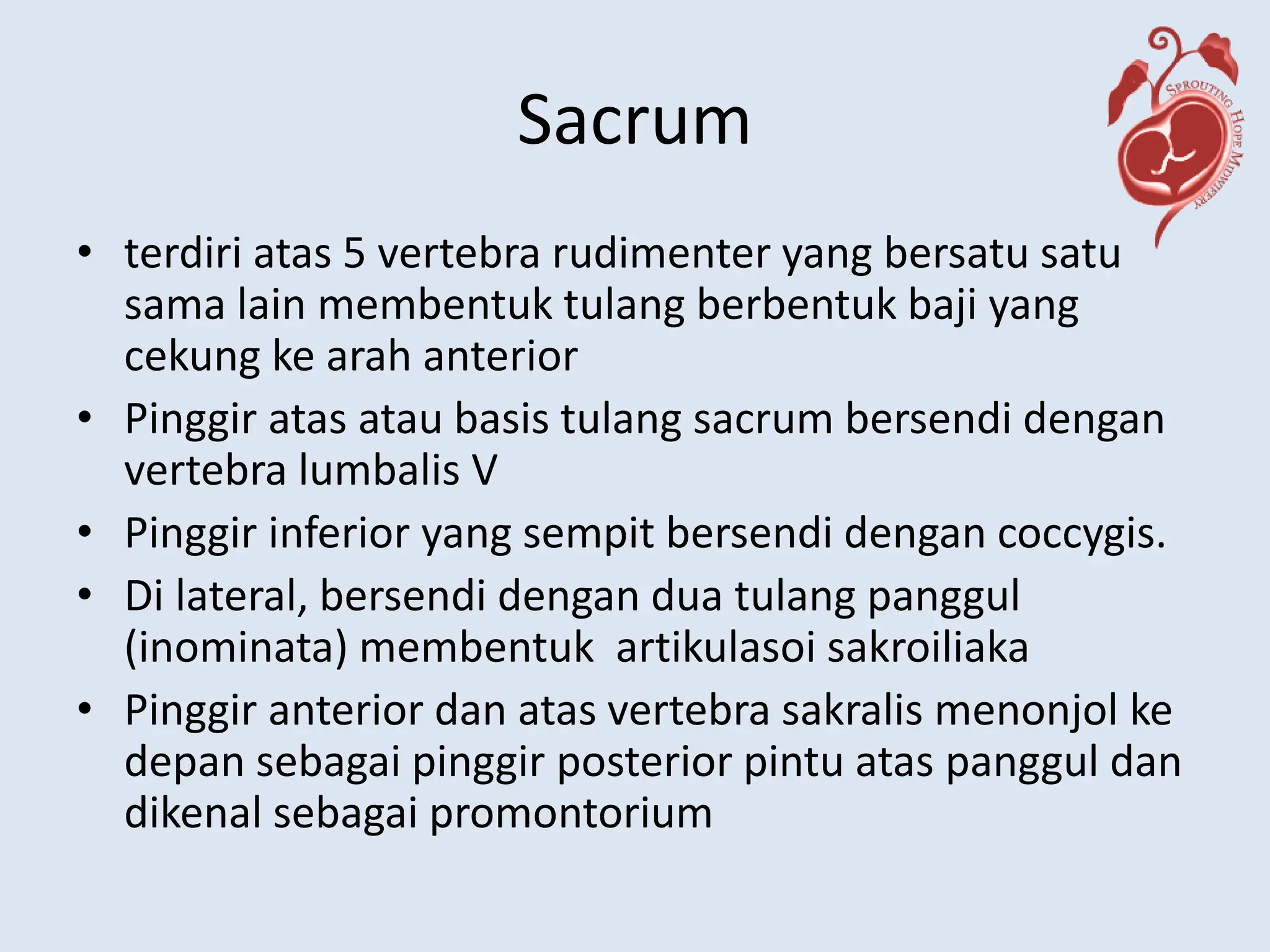 anatomi-dinding-pelvis_compress pada manusia.pdf