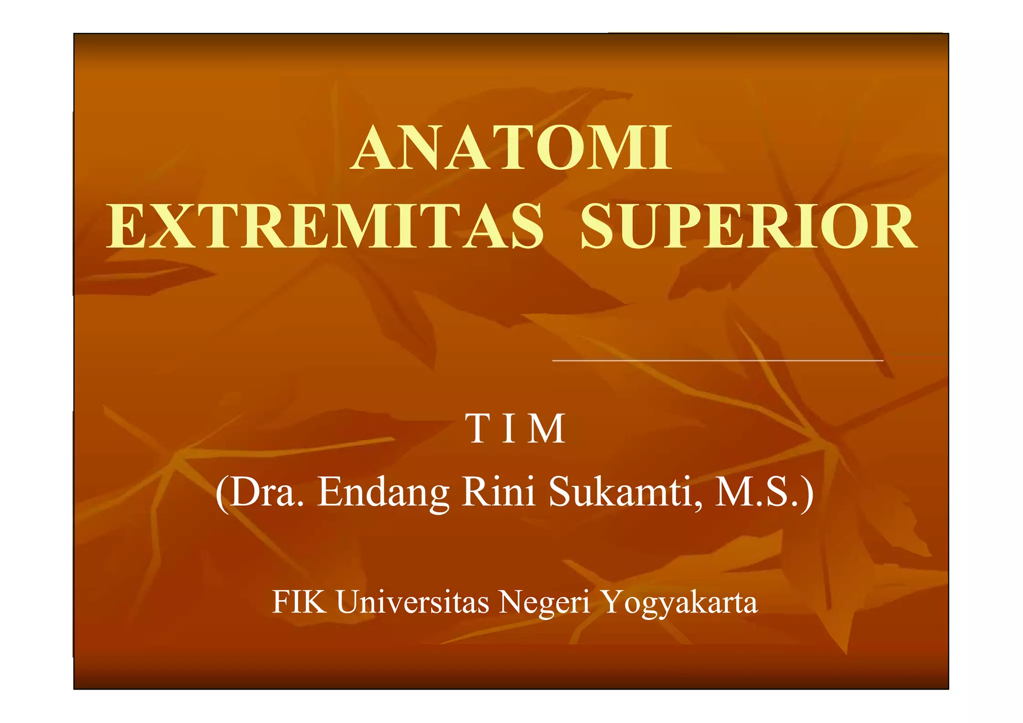 Anatomi-EXTREMITAS+SUPERIOR.pdf