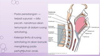 Anatomi-Fisiologi-Faring(1). Anatomi-Fisiologi-Faring(1).pptx