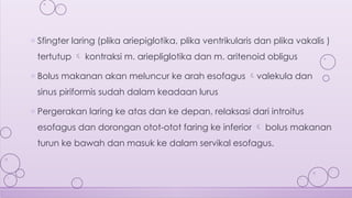 Anatomi-Fisiologi-Faring(1). Anatomi-Fisiologi-Faring(1).pptx