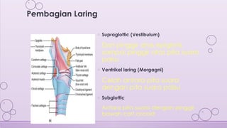Anatomi-Fisiologi-Faring(1). Anatomi-Fisiologi-Faring(1).pptx