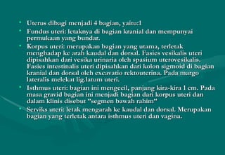 anatomi-fisiologi-organ-reproduksi-wanita.................. | PPT