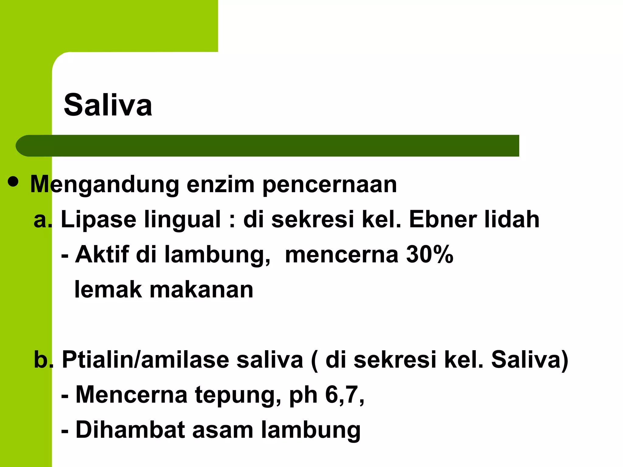 Anatomi fisiologi-pencernaan 011 | PPT