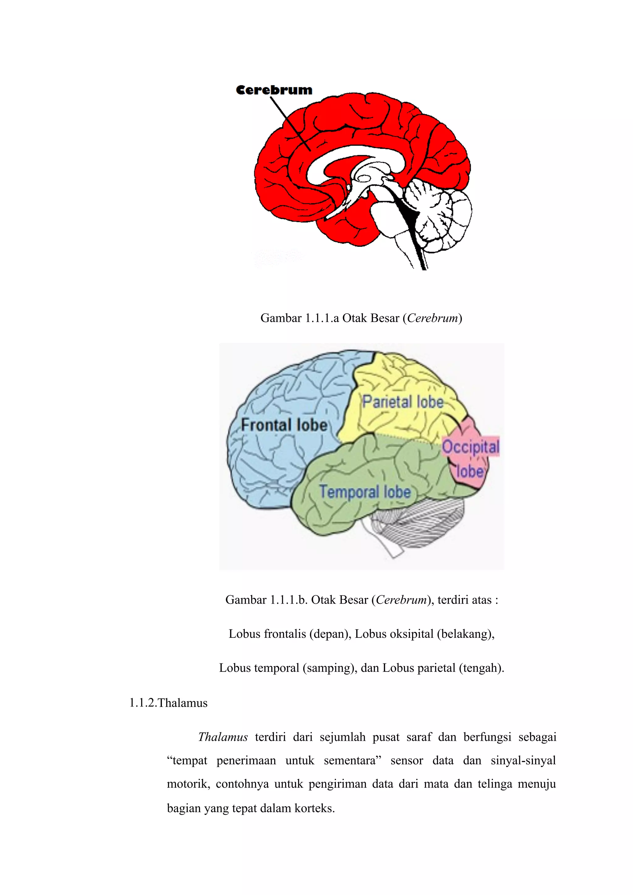 Anatomi fisiologi-sistem-saraf-pusat - dr.wismaji | PDF