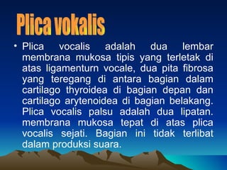 Anatomi fisiologi-sistemc2a0pernafasan1 | PPT