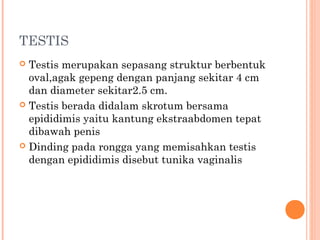 ANATOMI FISIOLOGI SISTEM REPRODUKSI | PPT