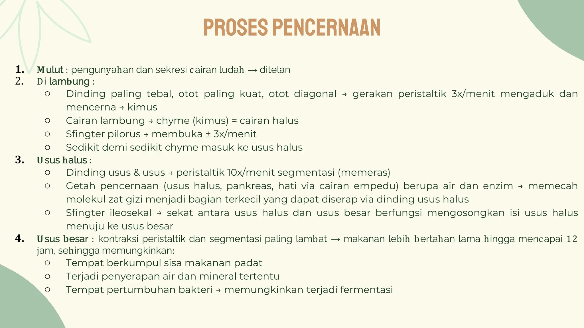 PENYERAPAN ZAT GIZI ( Anatomi-Fisiologi ) | PPTX