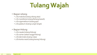 Anatomi-Fisiologi_Sistem_Muskuloskeletal.pptx