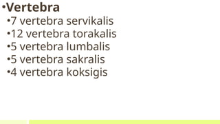 Anatomi-Fisiologi_Sistem_Muskuloskeletal.pptx