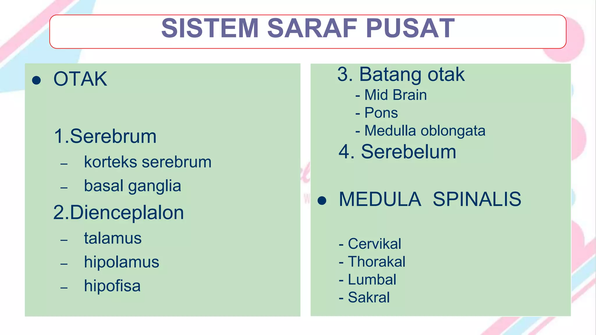 ANATOMI-FISIOLOGI SISTEM SARAF.ppt