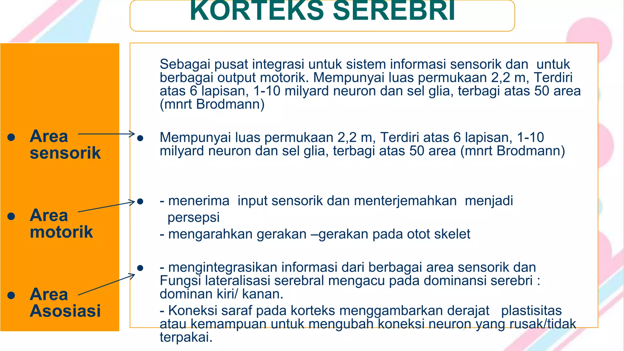 ANATOMI-FISIOLOGI SISTEM SARAF.ppt