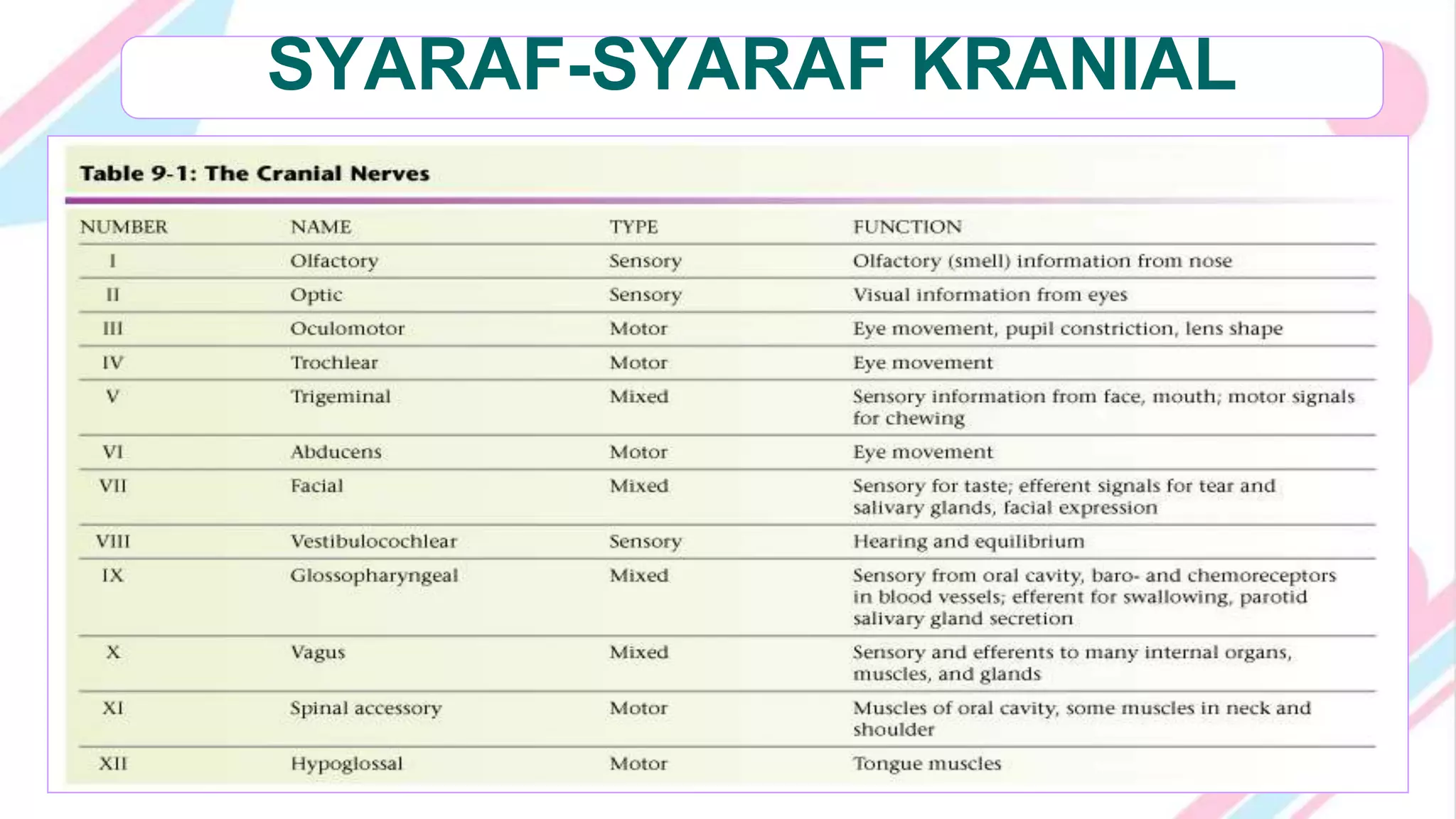 ANATOMI-FISIOLOGI SISTEM SARAF.ppt
