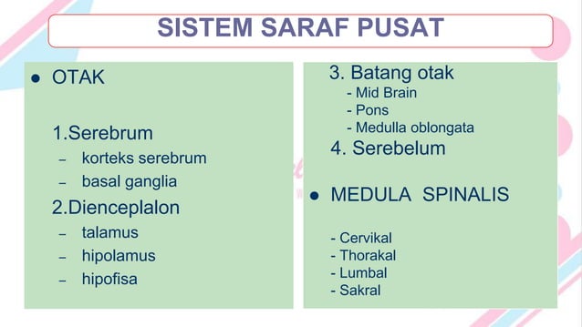 ANATOMI-FISIOLOGI SISTEM SARAF.ppt