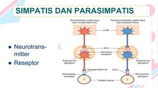 ANATOMI-FISIOLOGI SISTEM SARAF.ppt