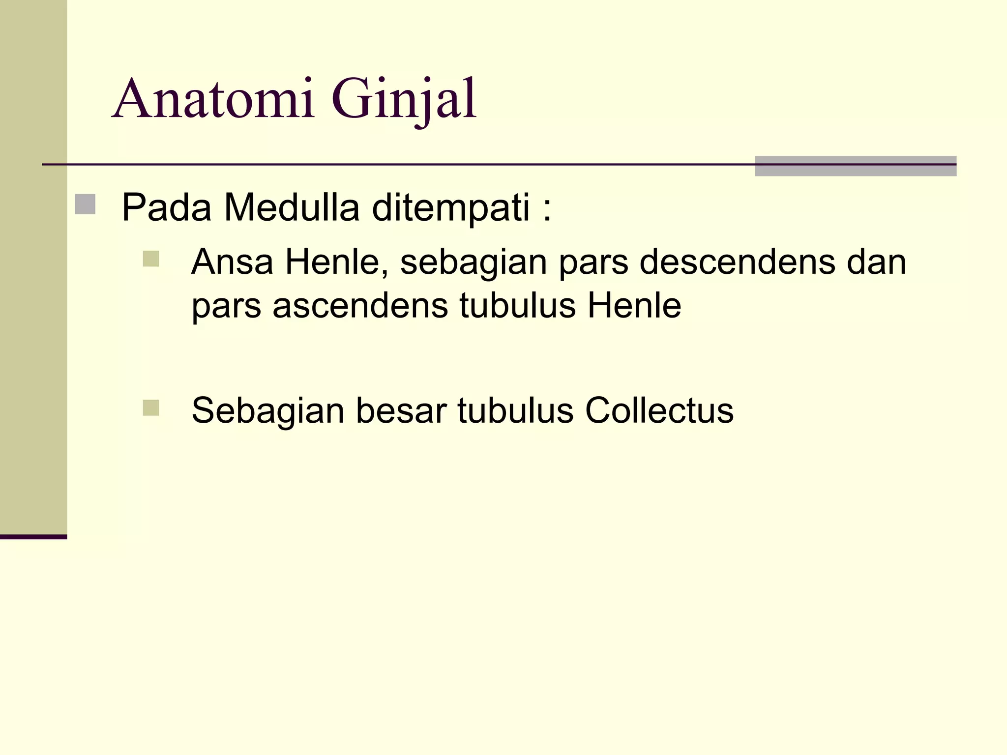 Anatomi ginjal | PPT
