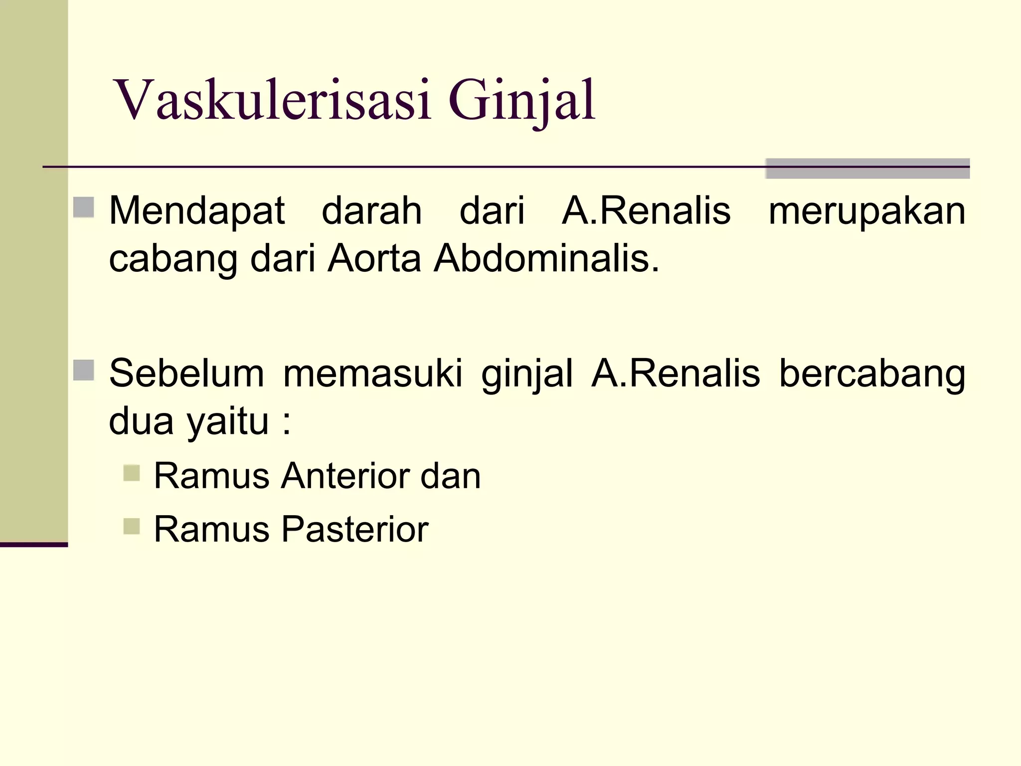 Anatomi ginjal | PPT