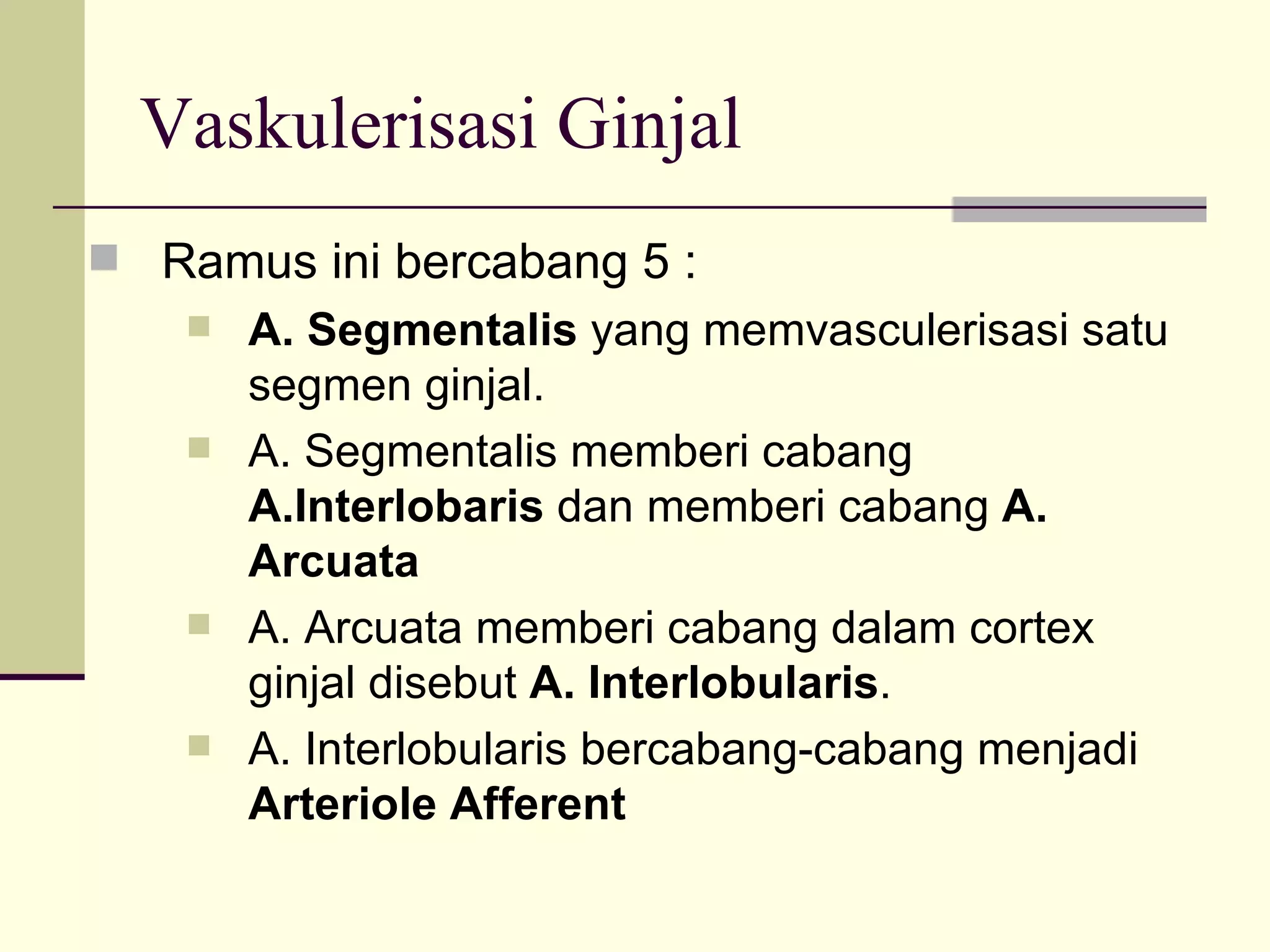 Anatomi ginjal | PPT